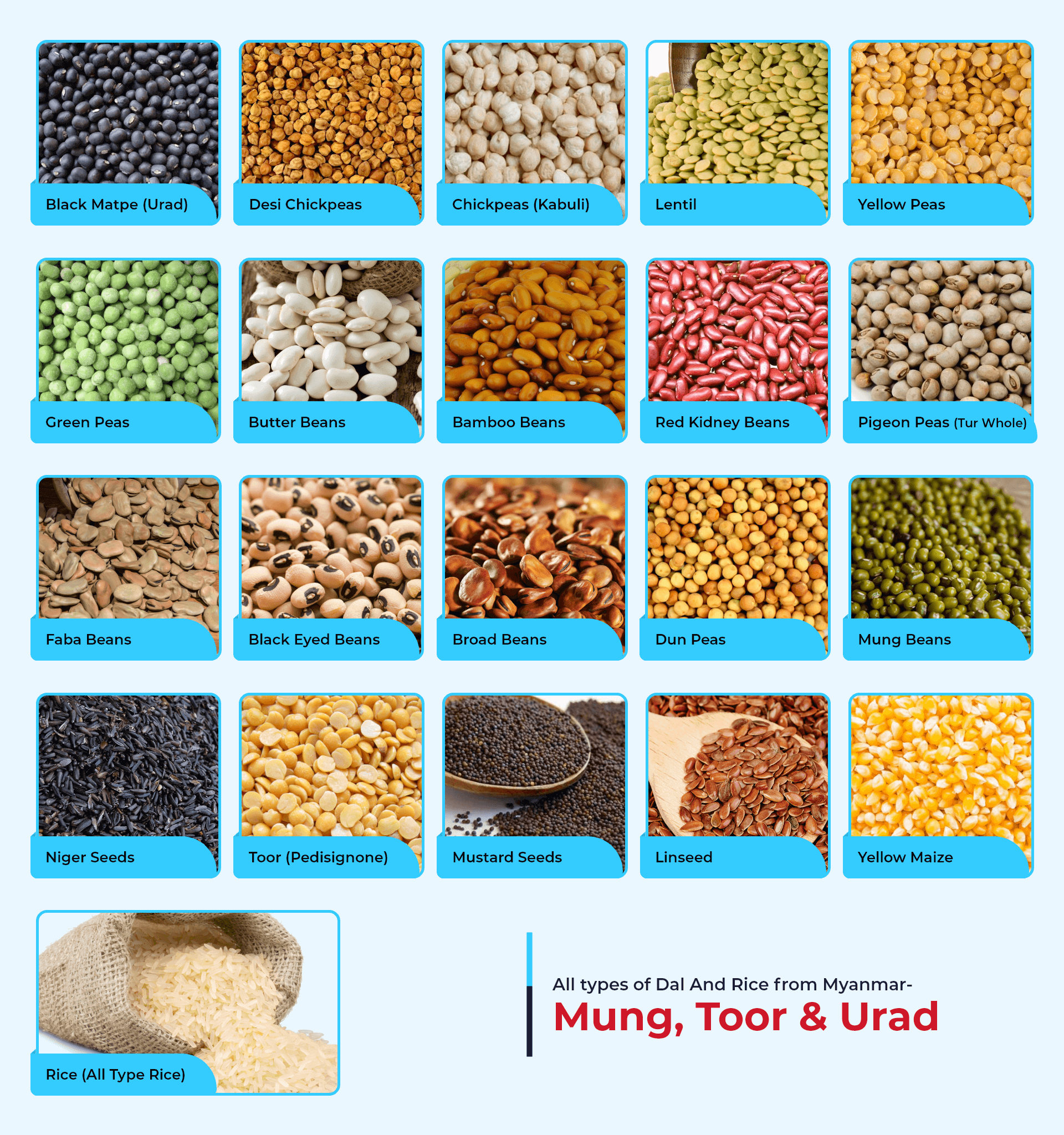 Agro-Commodity - PLGlobal