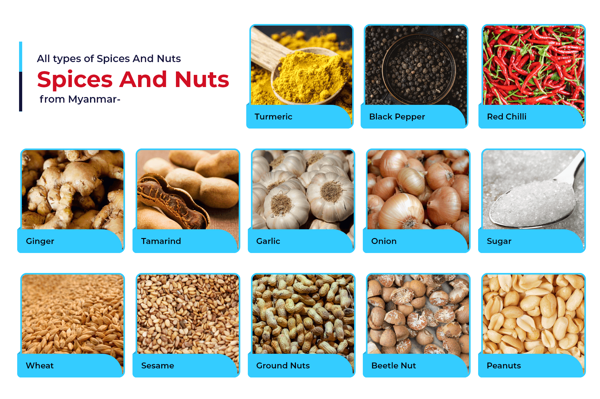 Agro-Commodity - PLGlobal