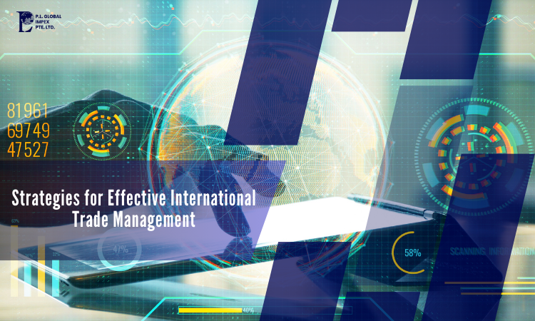 The Key to Success in global trade: Effective Management Strategies