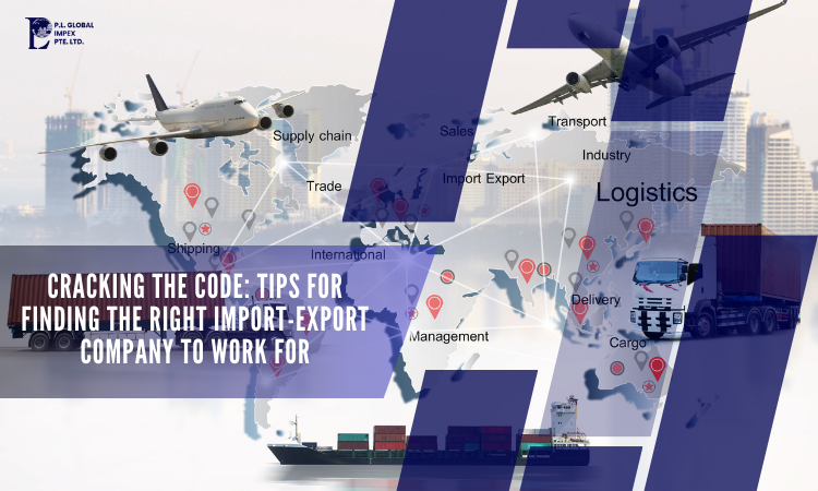 Exploring Career Opportunities in the Import-Export Industry