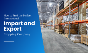 Choosing the Right Import and Export Shipping Company