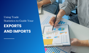 How Export and Import Can Help Your Business Thrive