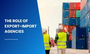 Export-Import Agencies: Your Partners in International Trade - PLGlobal