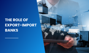 Export-Import Agencies: Your Partners in International Trade - PLGlobal