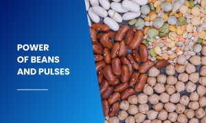 The Essential Role of Beans and Pulses in Global Nutrition