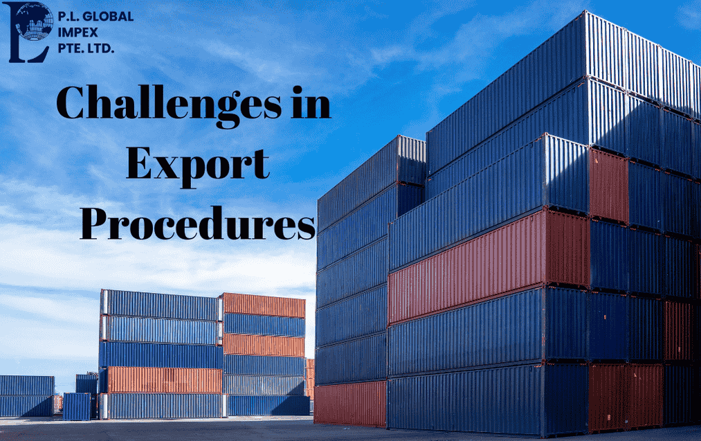 Master the Export Procedure: Essential Steps for Success - PLGlobal