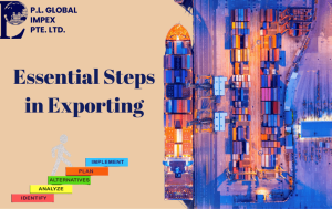 Master the Export Procedure: Essential Steps for Success - PLGlobal